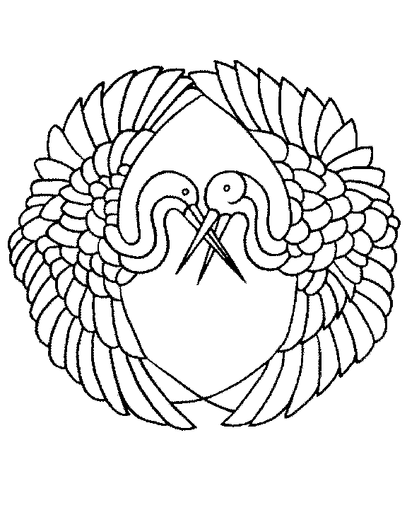 Birds, Bugs, ... and More! | Kids Environment Kids Health