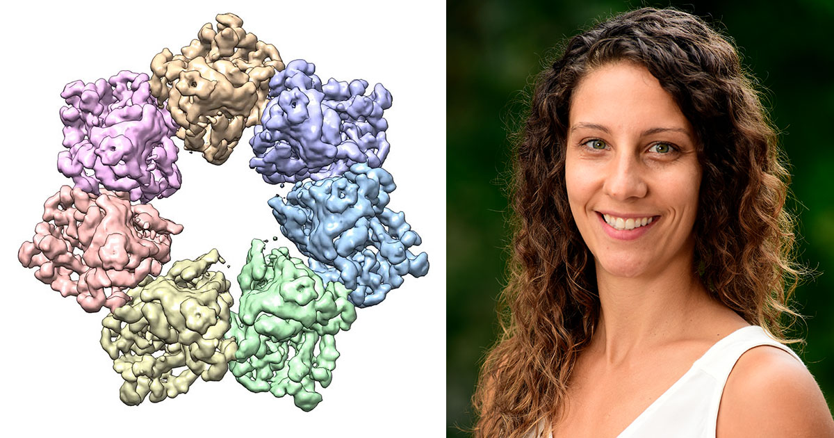 Environmental Factor - September 2022: NIEHS researchers first to ...