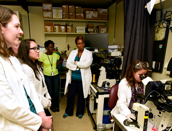 Careers & Training | National Institute of Environmental Health Sciences