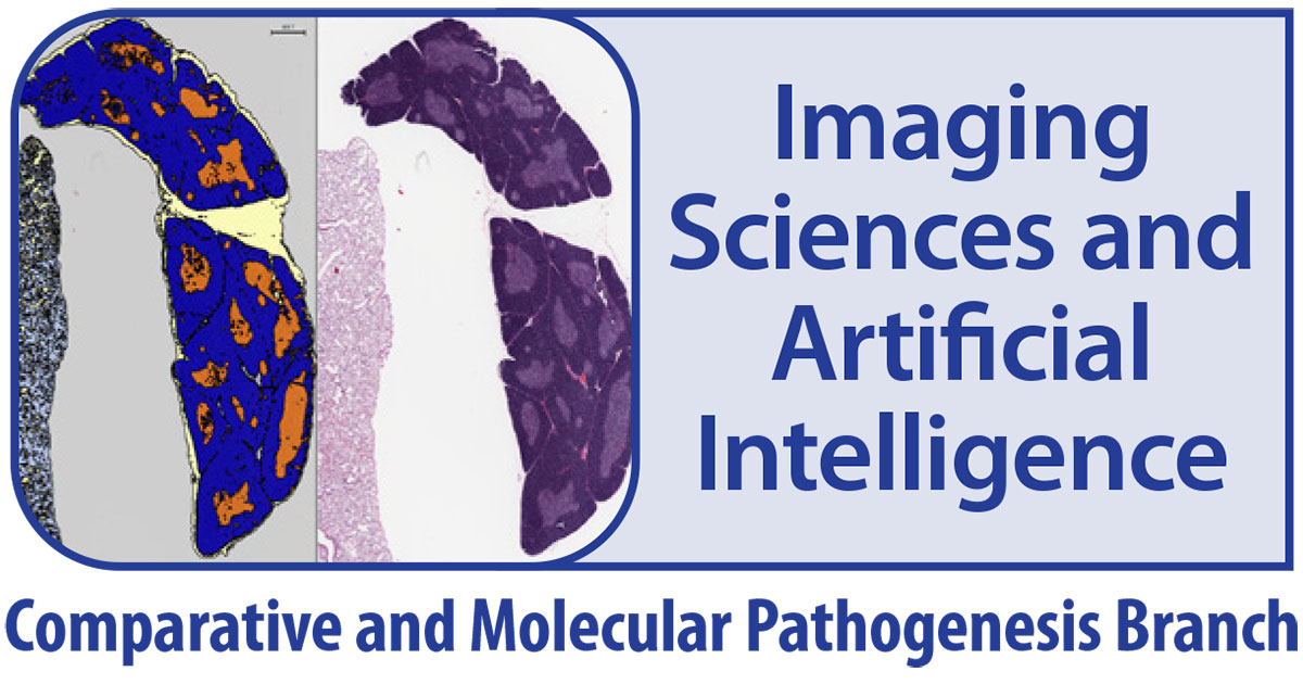 Imaging Sciences | National Institute of Environmental Health Sciences