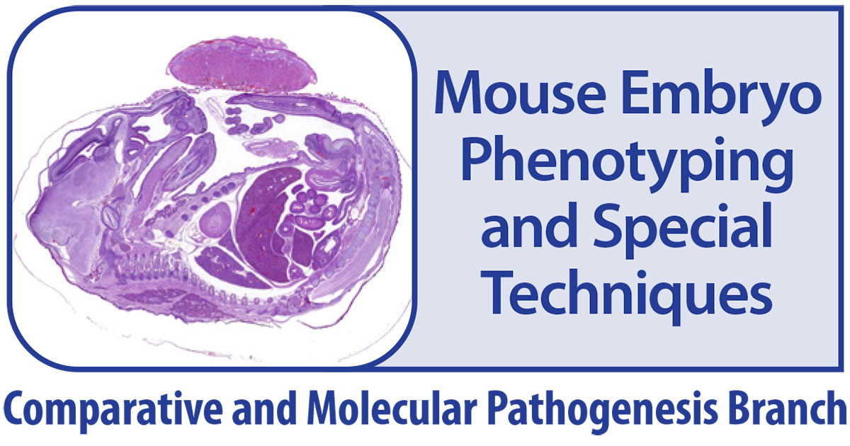 Mouse Embryo Phenotyping & Special Techniques Group | National ...