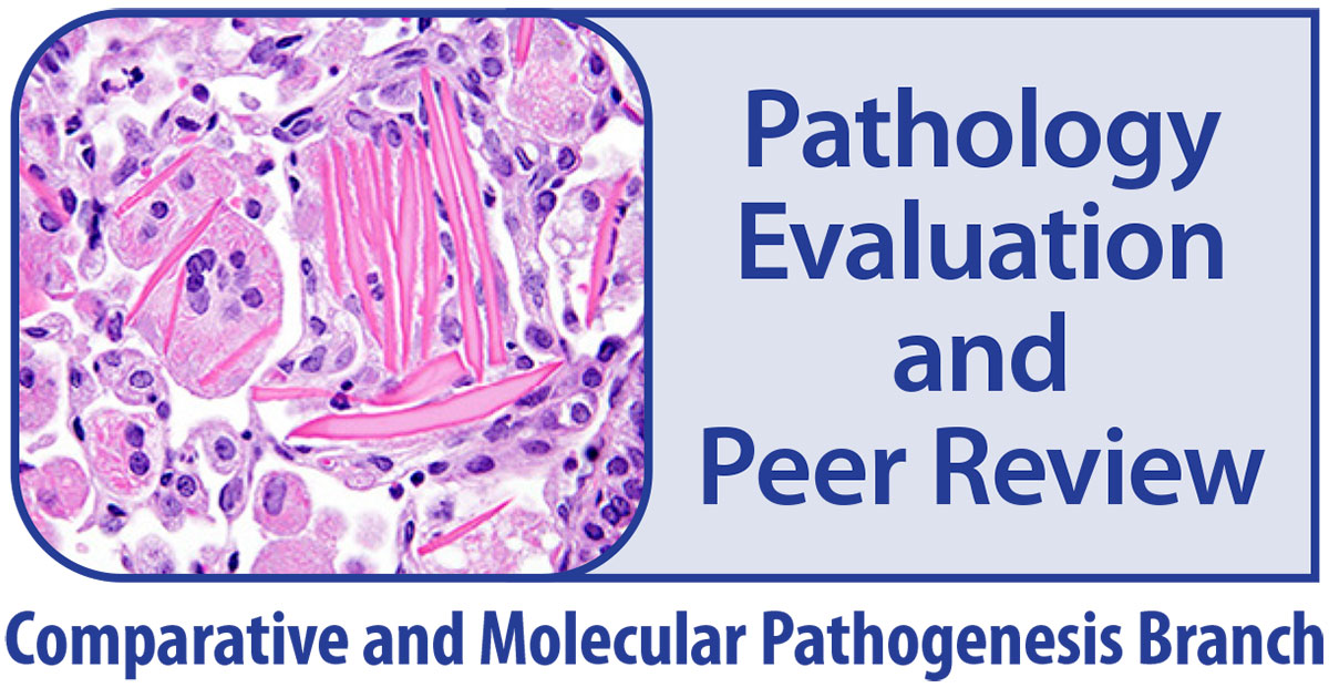 Pathology Evaluation & Peer Review Group | National Institute of ...