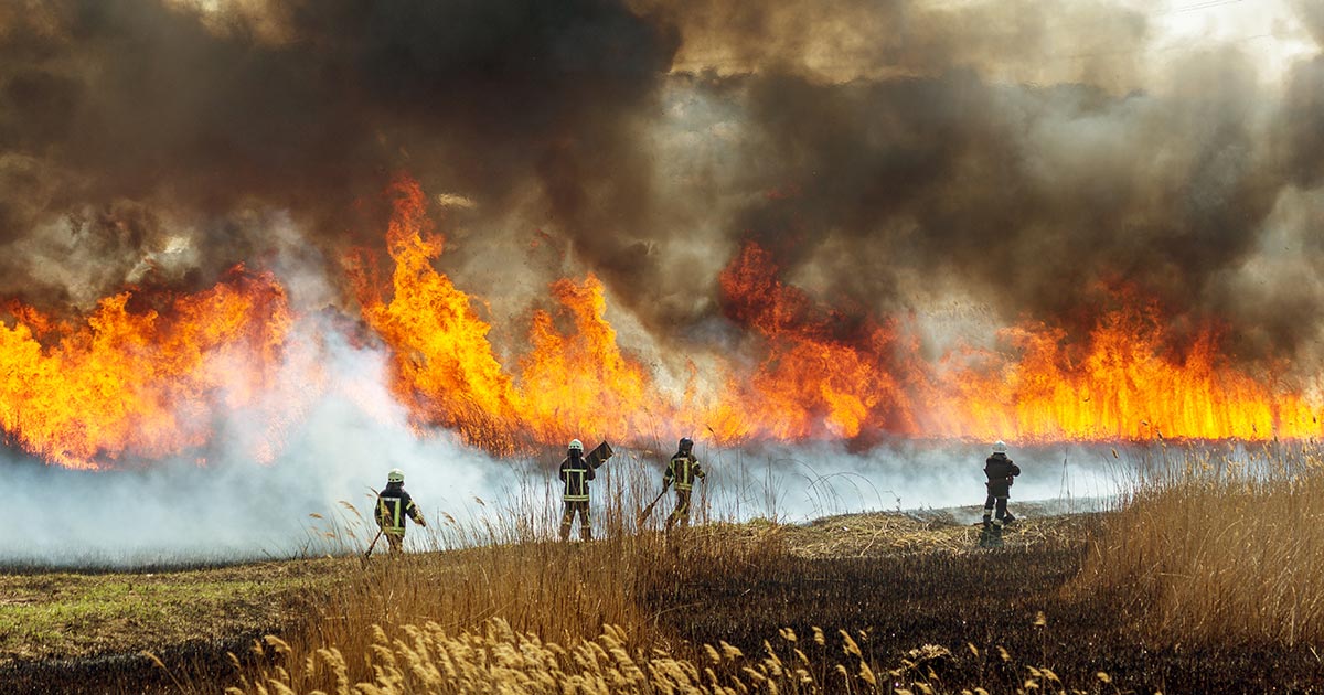 National Institute of Environmental Health Sciences: NIEHS Home page