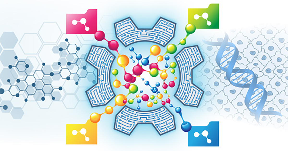 Clustering and Classification Workshop | National Institute of ...