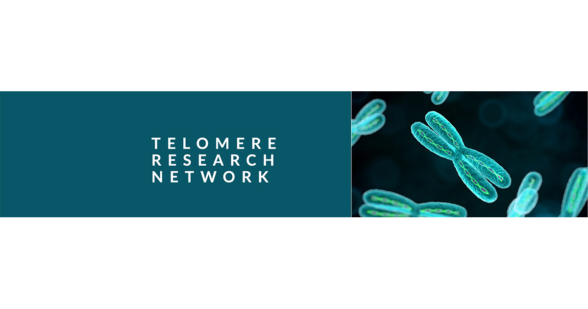 Telomere Research Network Hybrid Annual Meeting | National Institute of ...