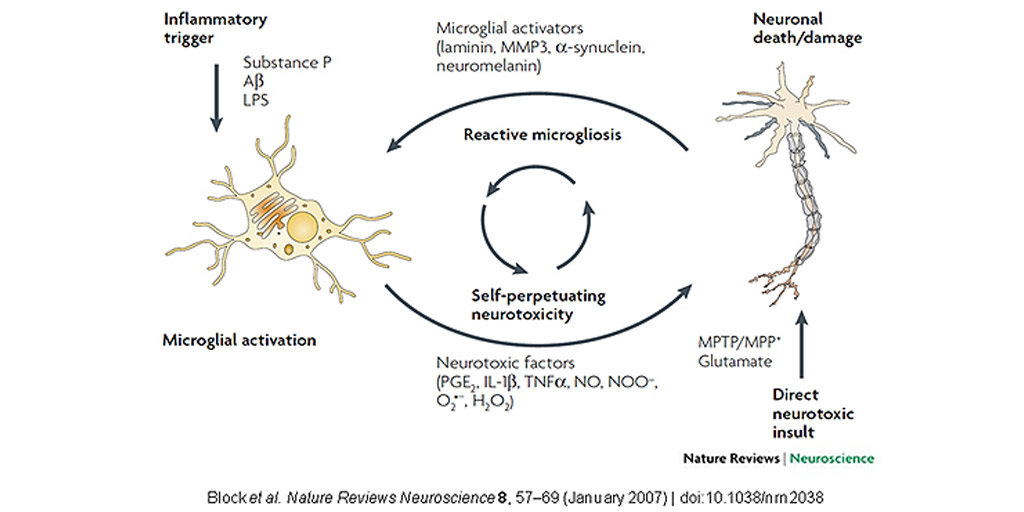 Neuropharmacology Group | National Institute of Environmental Health ...