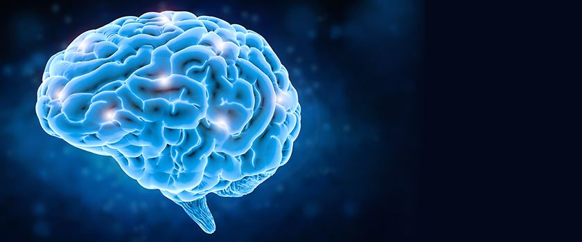 National Institute of Environmental Health Sciences: Environmental ...